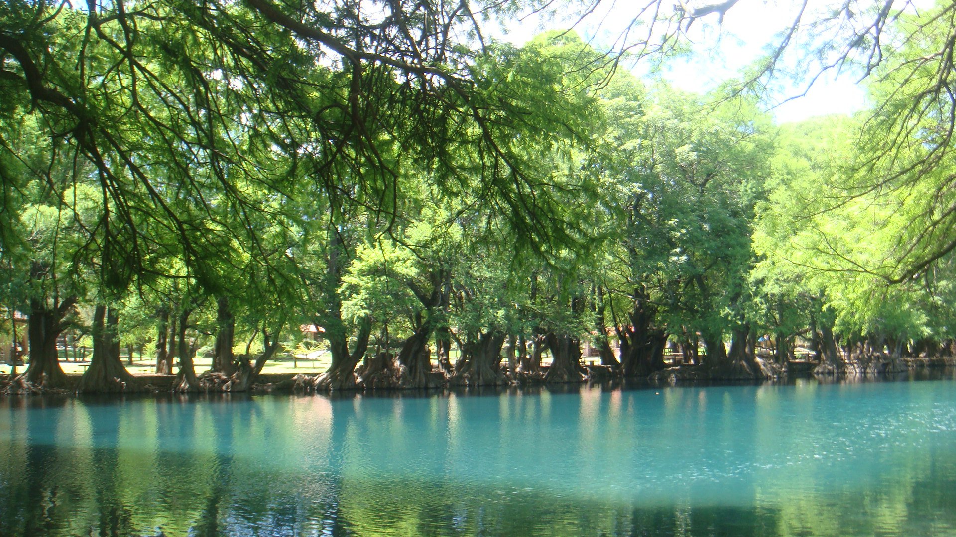 Sería el Lago de Camécuaro de los mejores destinos naturales de México ...