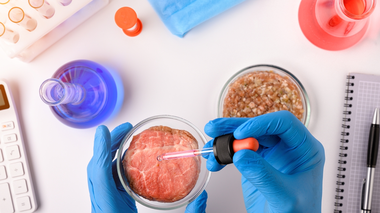 La ciencia acota el cultivo in vitro de carne animal – Dimension ...