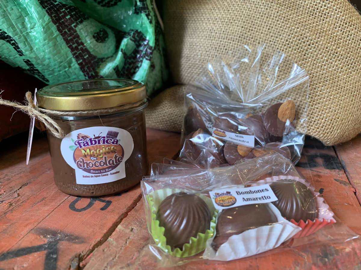 El cacao en Ecuador y la importancia de su cultivo – Dimension ...