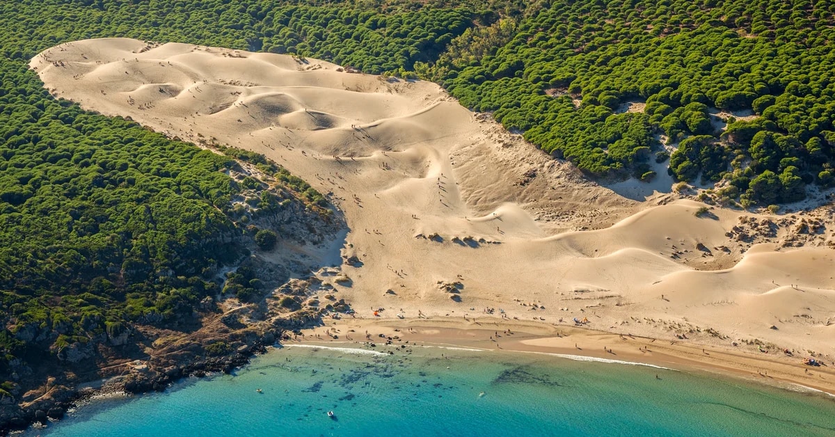 Discover the Top Beaches in Cádiz: From Roche’s Stunning Coves to ...