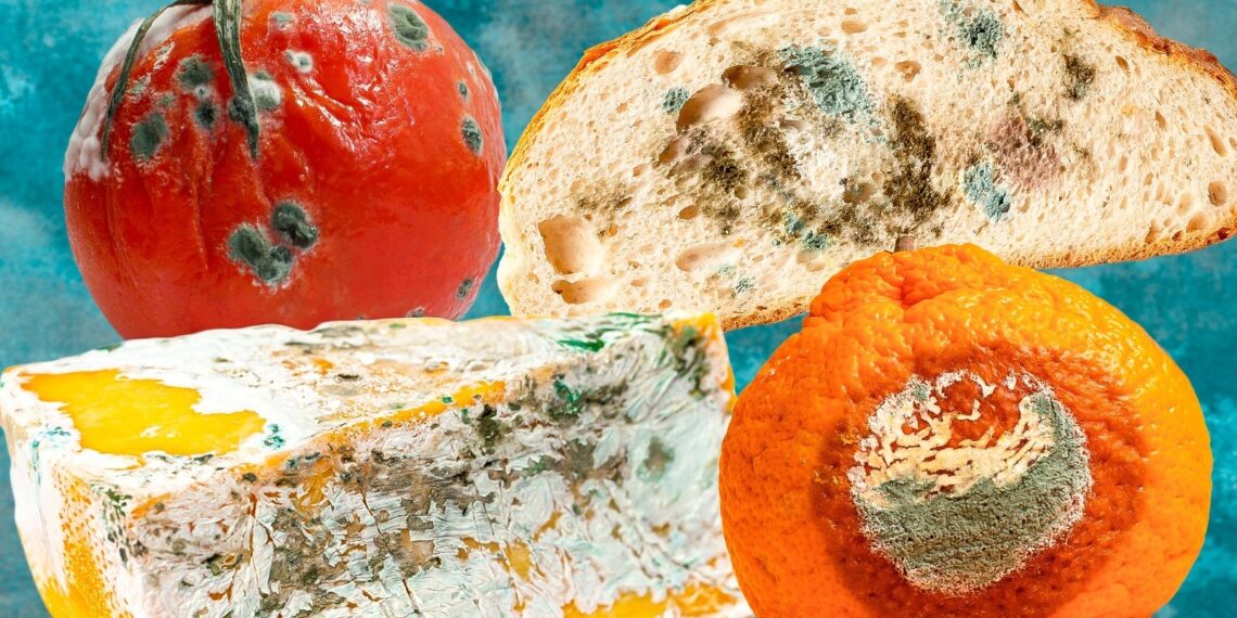 Los 12 Alimentos que Puedes (y no puedes) Rescatar una Vez que ...