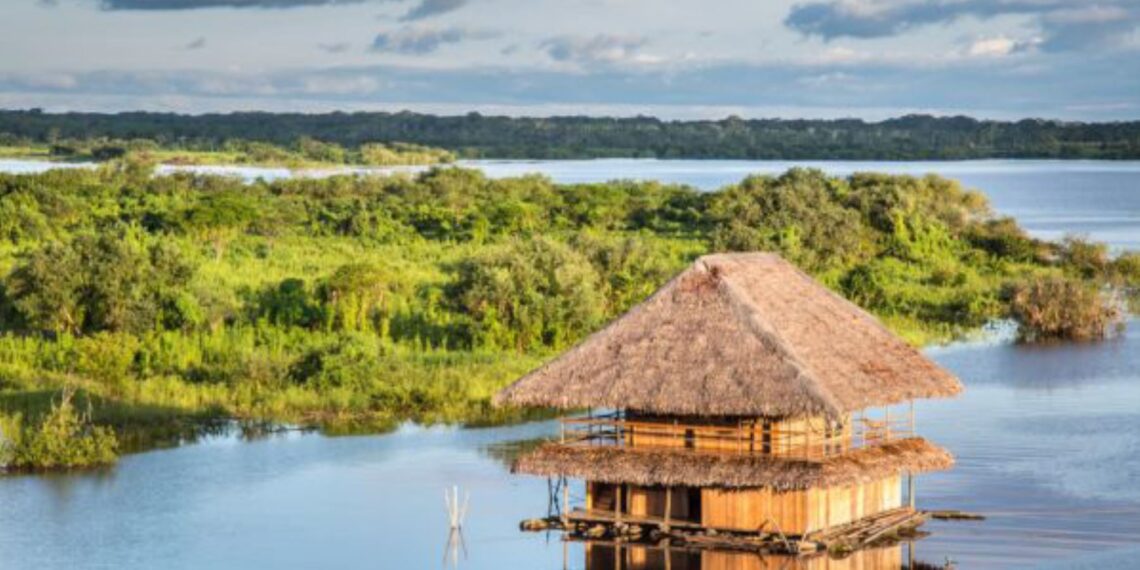 ¡El Amazonas peruano: un destino imperdible en la lista de los 25 ...
