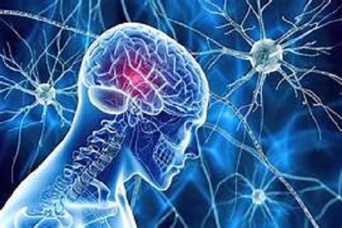 La ataxia agrupa a un conjunto de trastornos neurológicos que afectan ...
