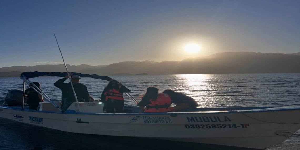 Gobierno revoca la normativa que permitía cruceros en Loreto debido a ...